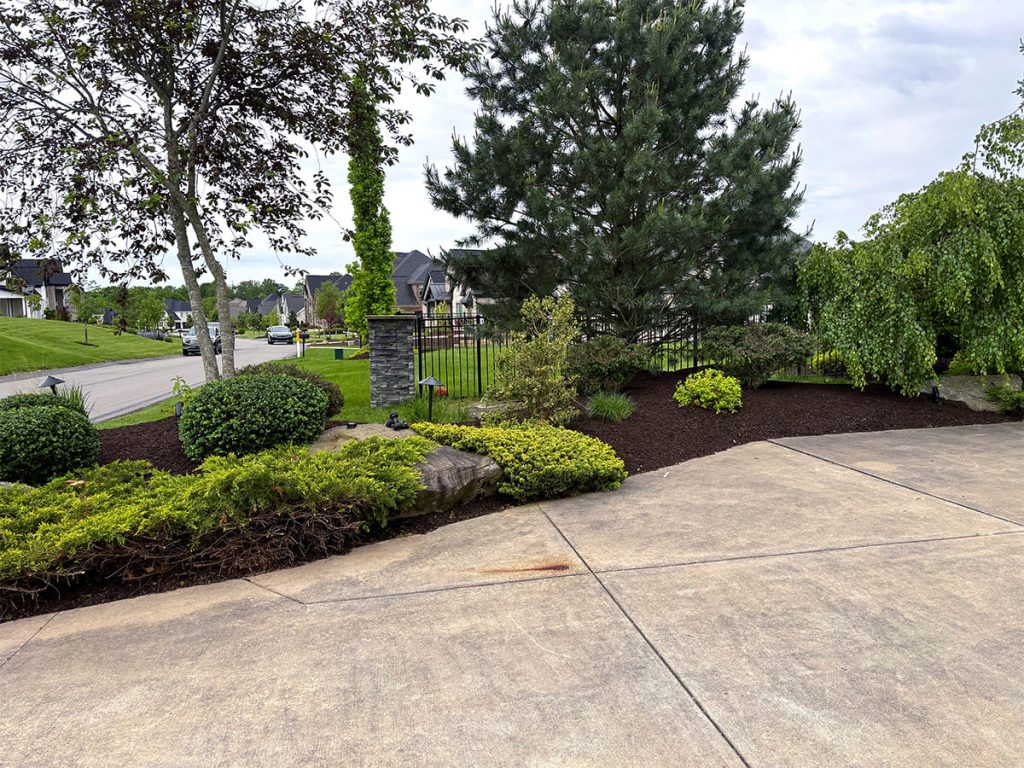 Popular Softscape Landscaping Ideas - Larkin Landscaping
