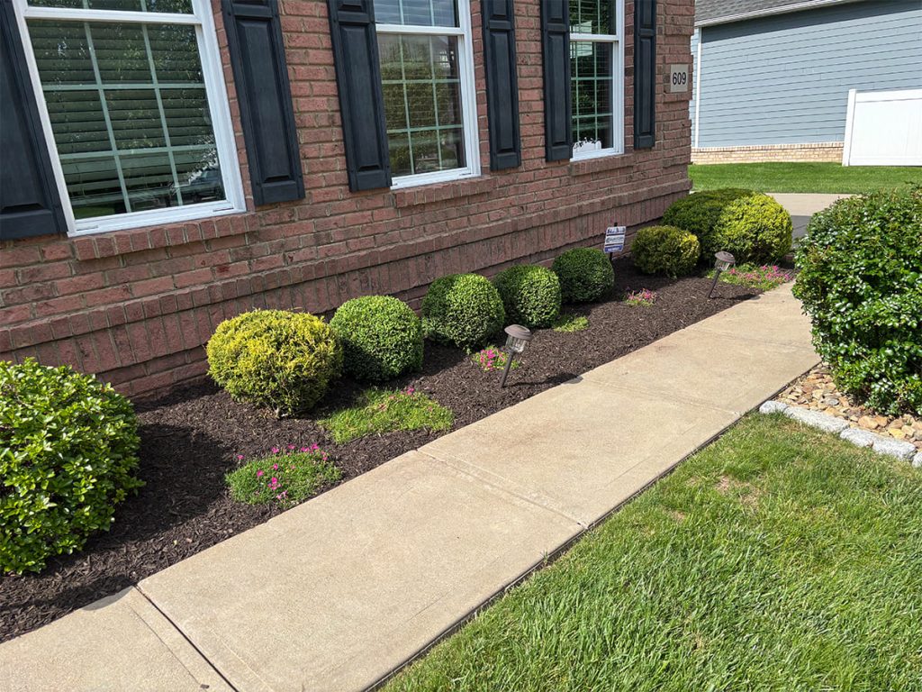 Plant Hardiness Zones & How to Choose The Best Plants for Your Zone ...